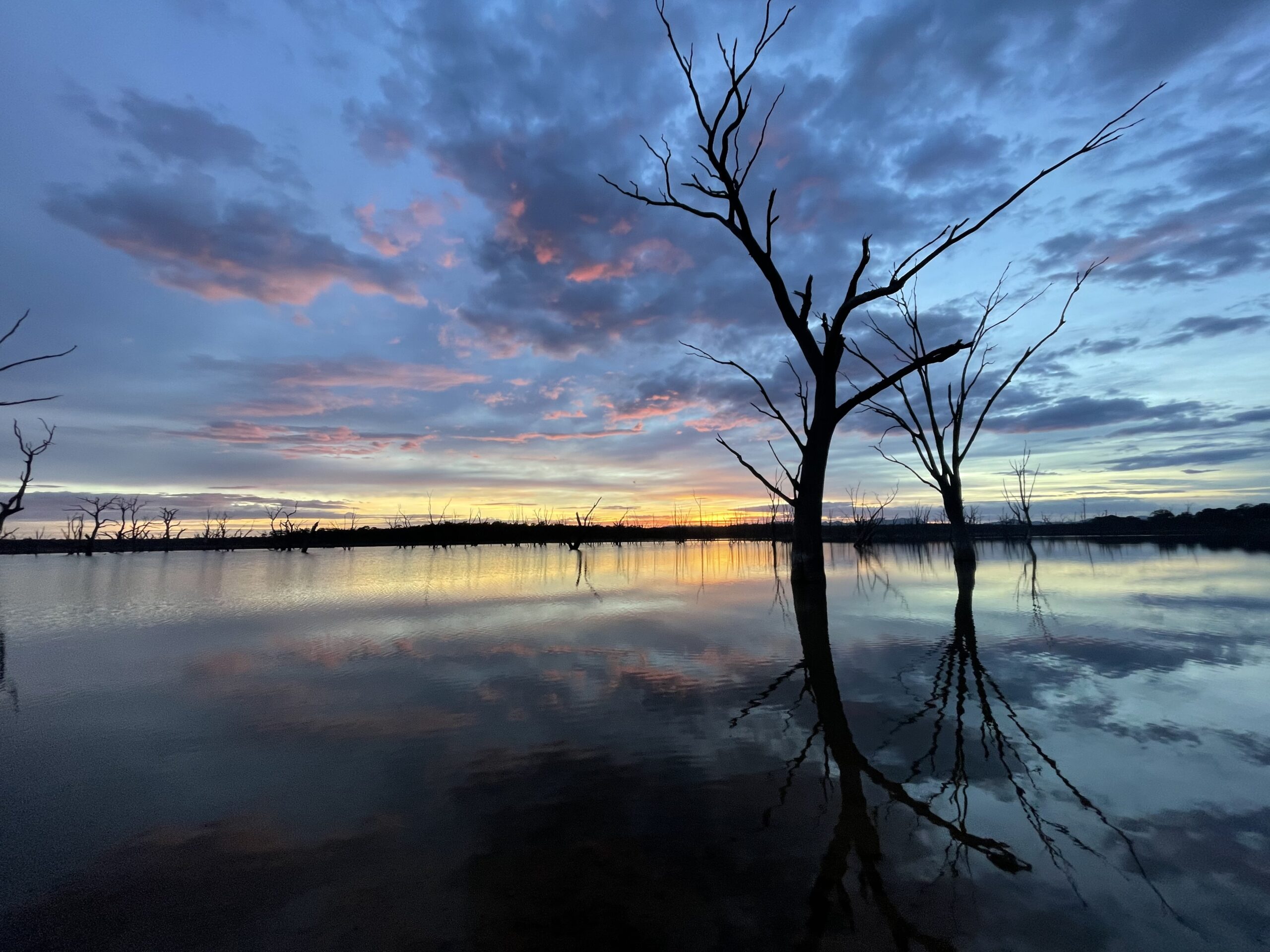 Image Gallery - ACC Higgins